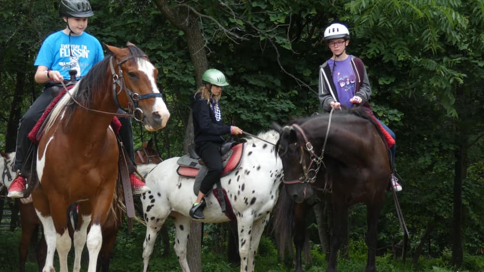 DHS News - Camp Connect Celebrates its 19th Year of Reuniting Siblings ...
